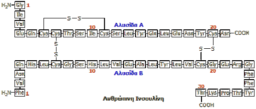 ΟΜΟΙΟΣΤΑΣΗ ΚΑΙ ΥΓΕΙΑ ΣΤΟΝ ΑΝΘΡΩΠΙΝΟ ΟΡΓΑΝΙΣΜΟ. Κεφάλιο έβδομο ...